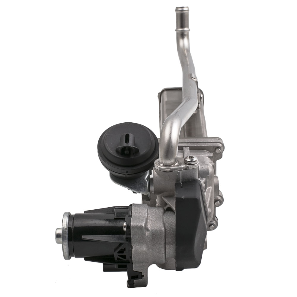 Vanne Egr Polo